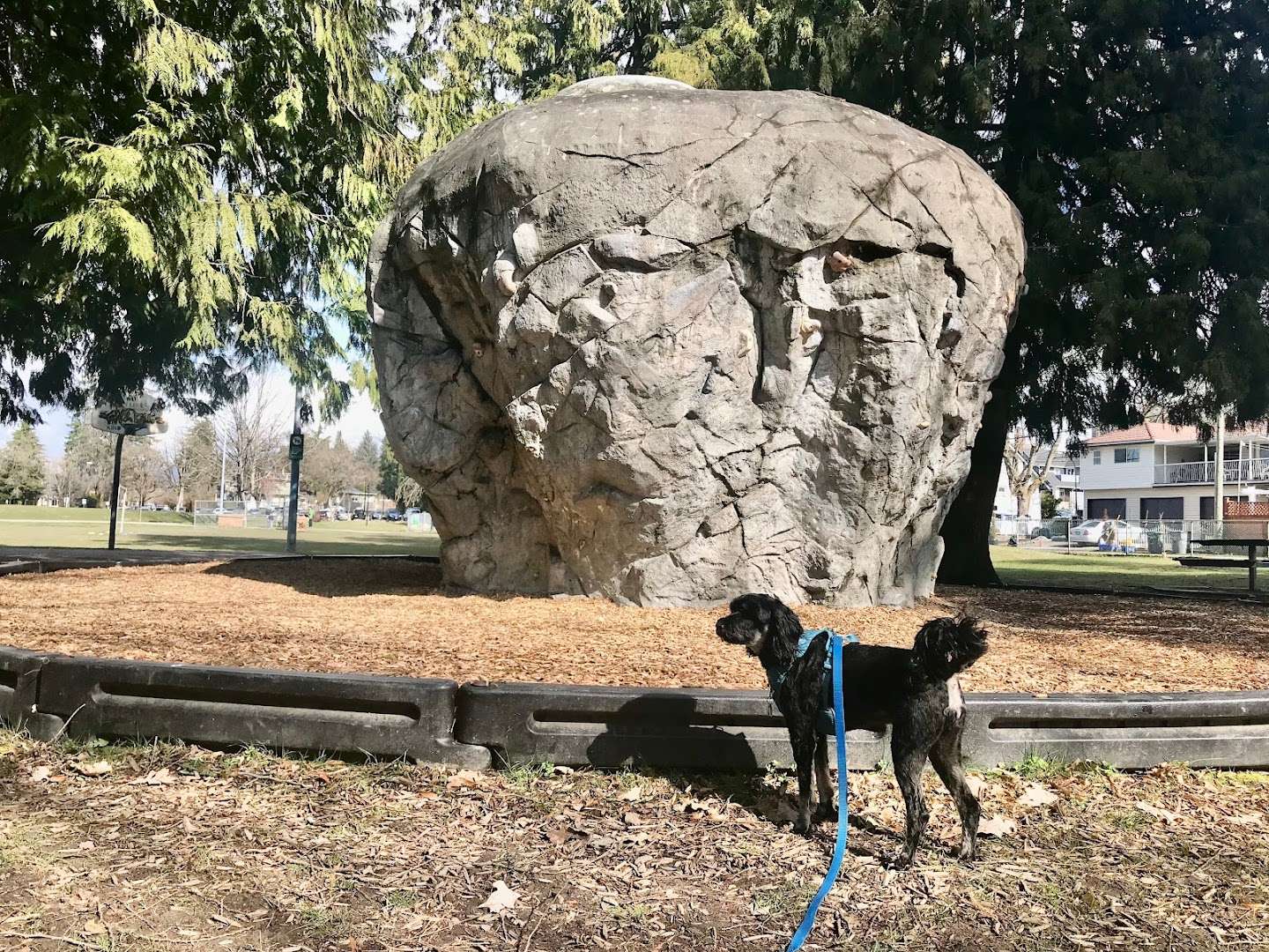 Riley Park - Downtown Vancouver
